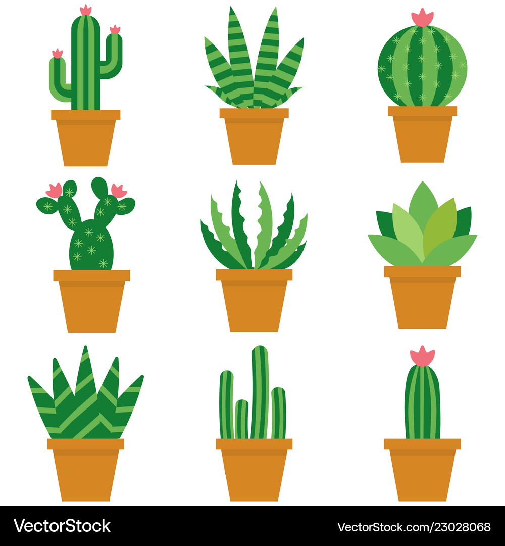 Cactus icons in a flat style on a white background