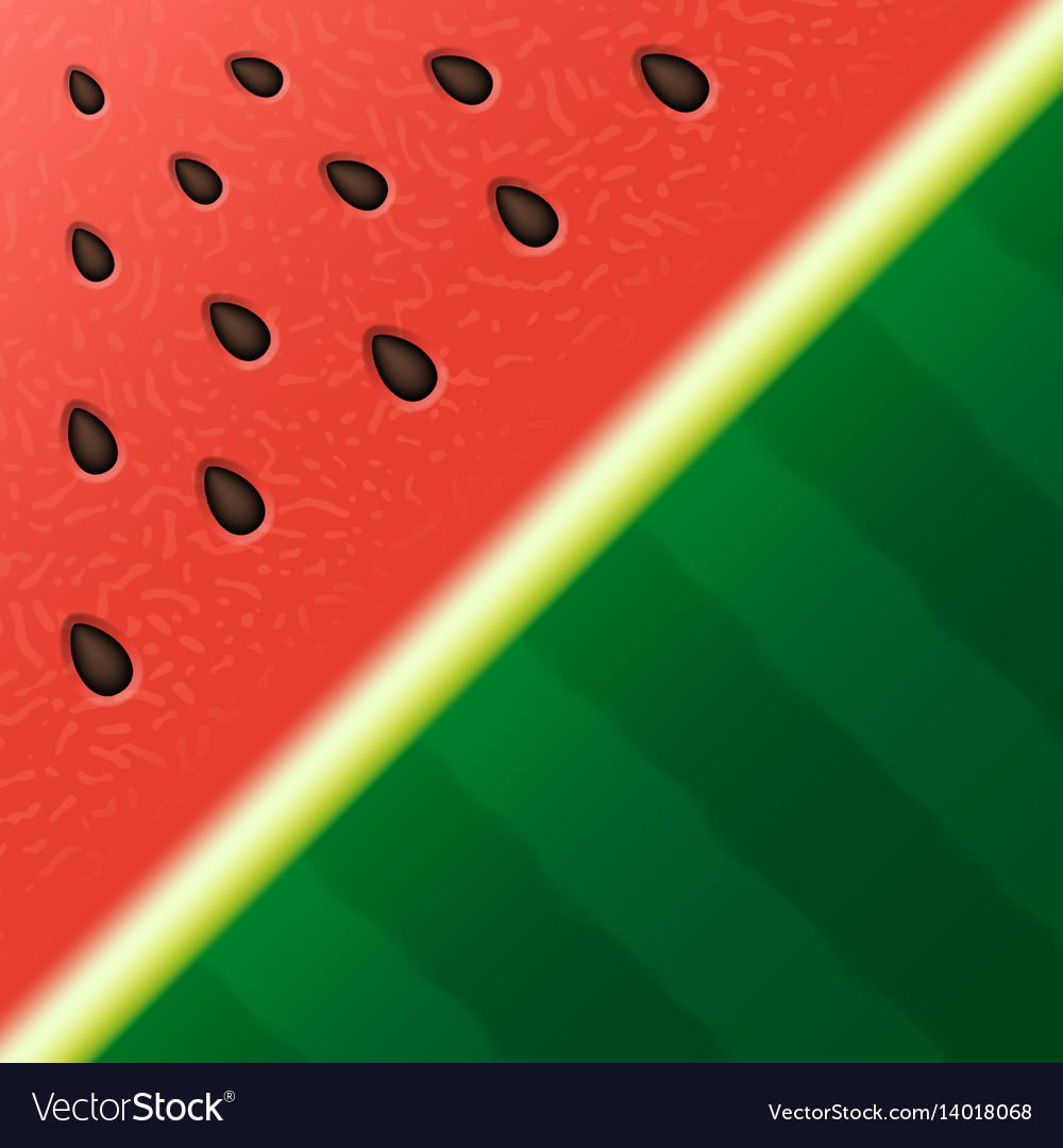 Watermelon texture background Royalty Free Vector Image
