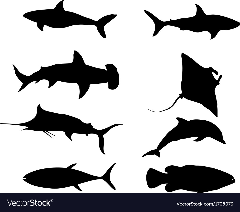 Fish Royalty Free Vector Image - VectorStock