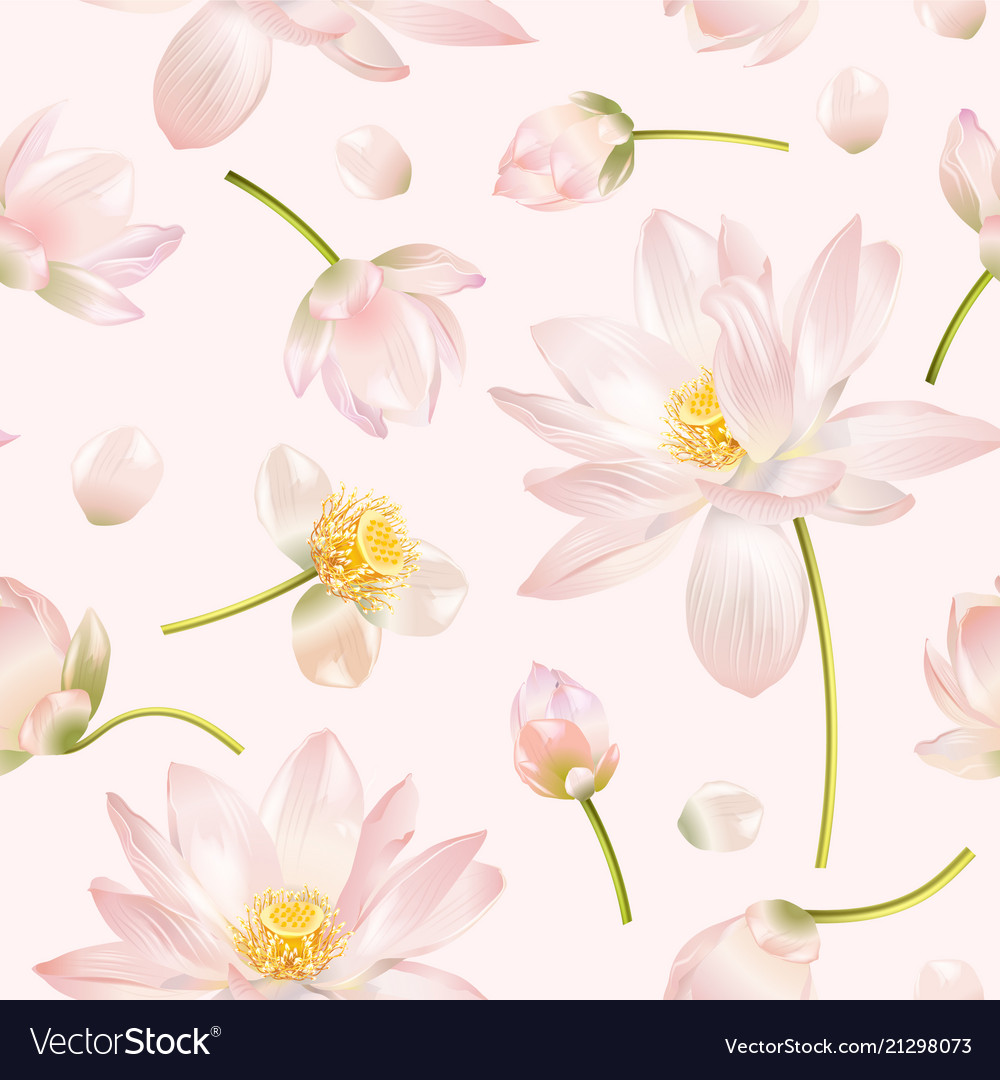 Lotus flower pattern Royalty Free Vector Image