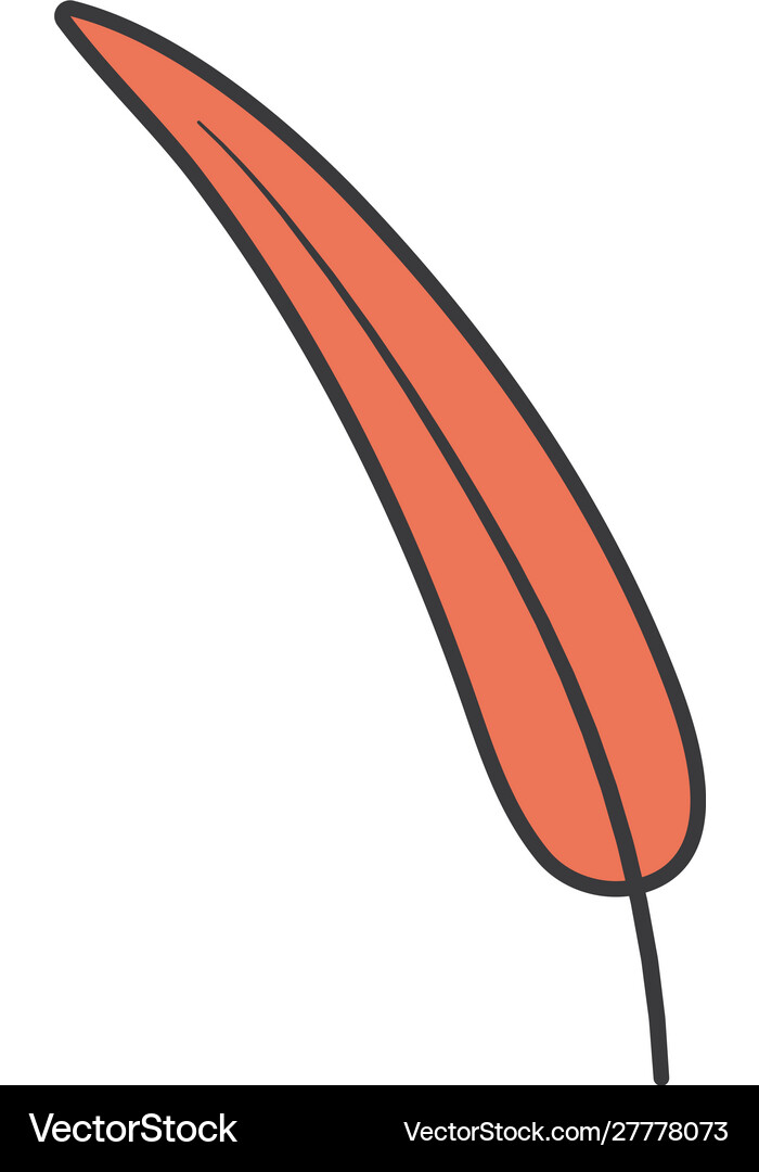 Natural leaf foliage autumn on white background Vector Image