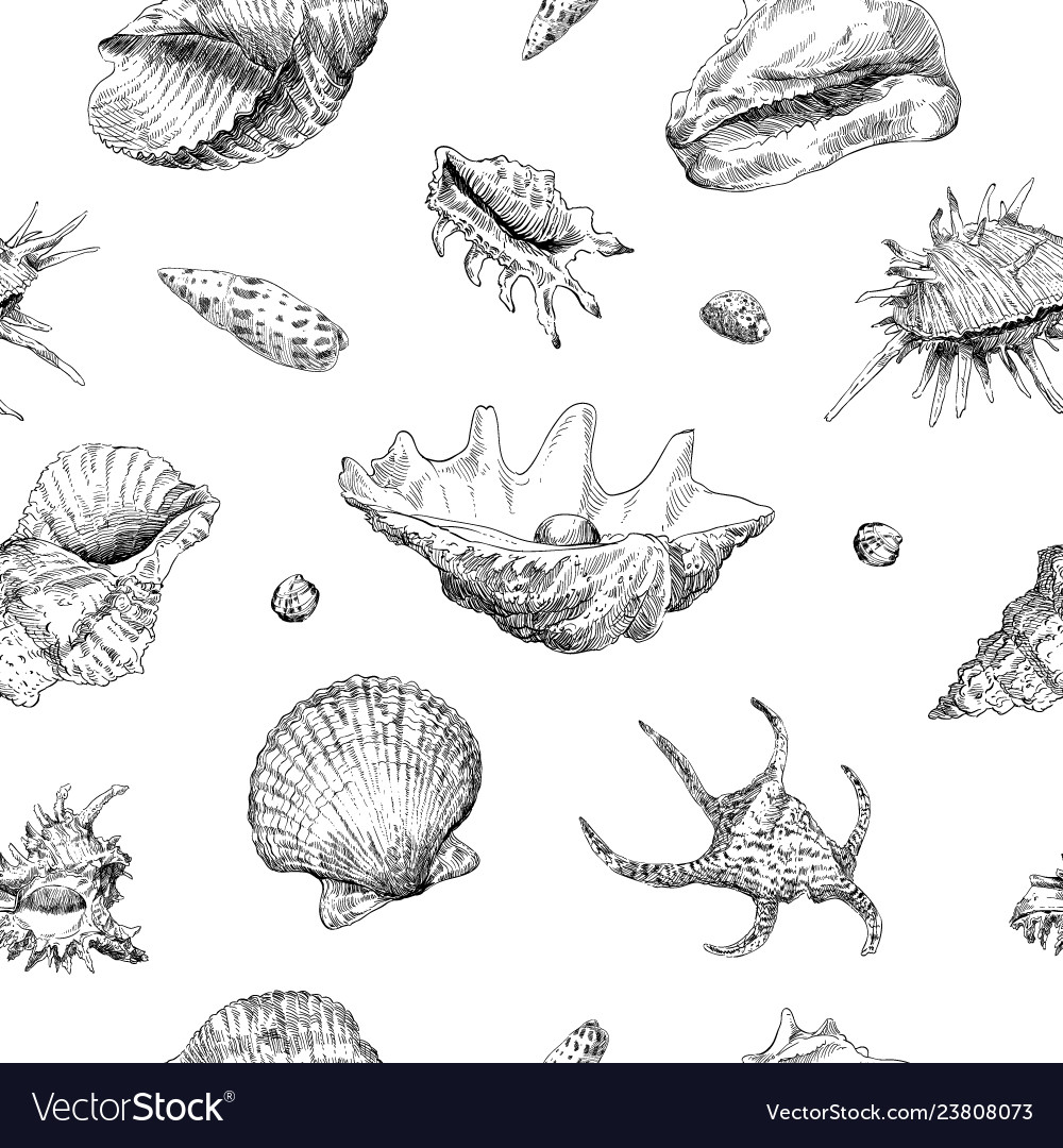 Seamless hand drawn seashells pattern backgrounds Vector Image