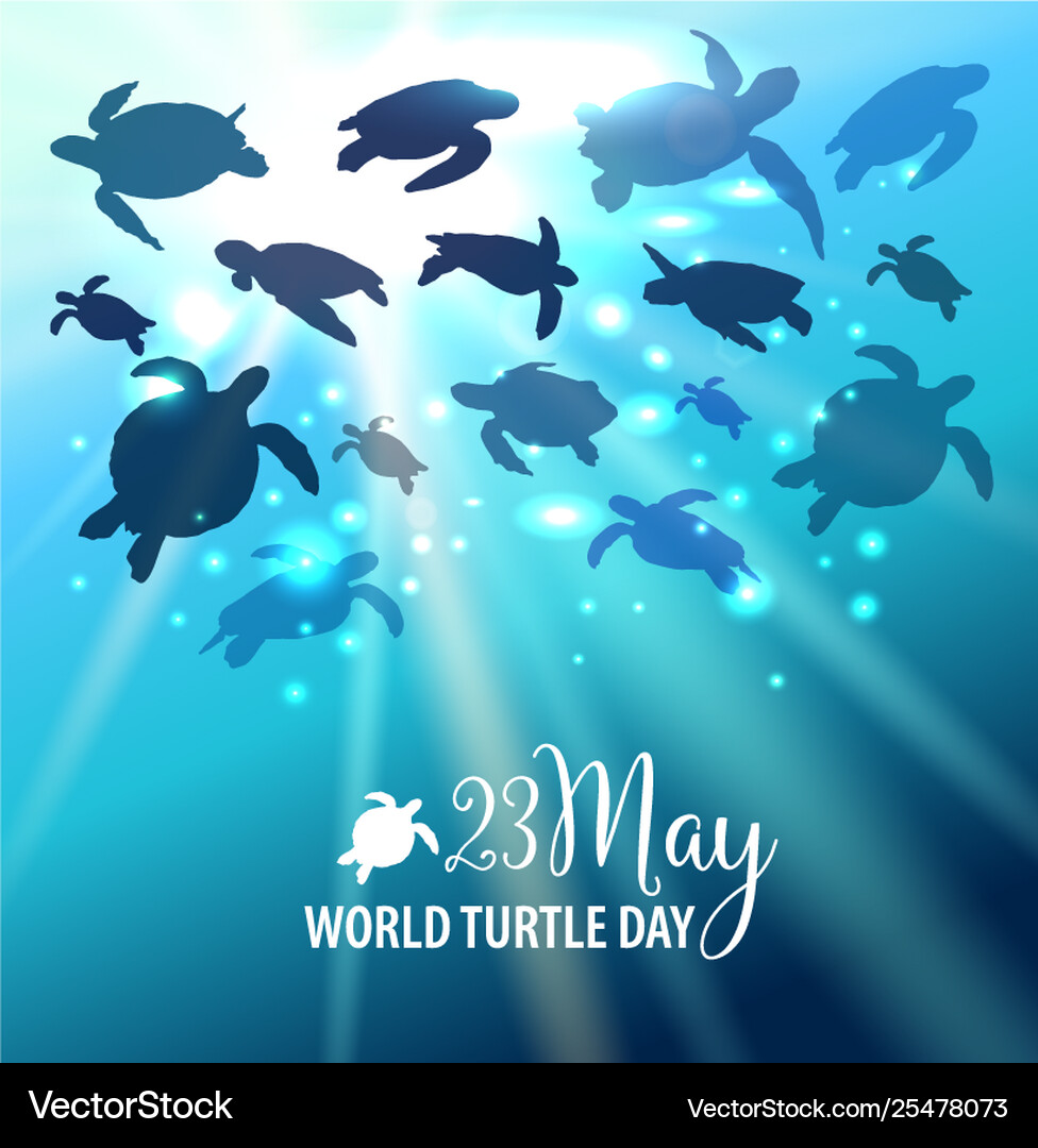 World turtle day 23 may background swims Vector Image