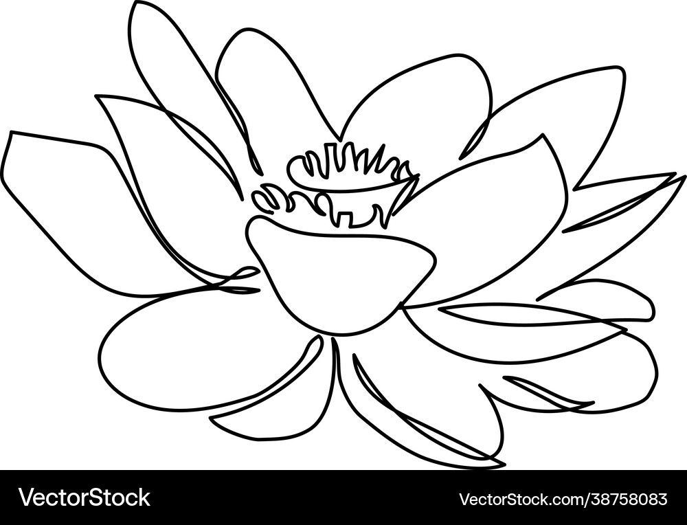 Lotus flower one line art continuous drawing Vector Image