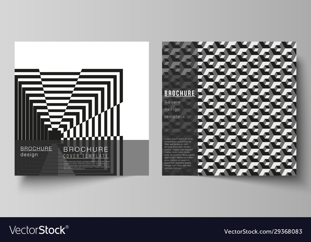 Minimal layout two square format Royalty Free Vector Image