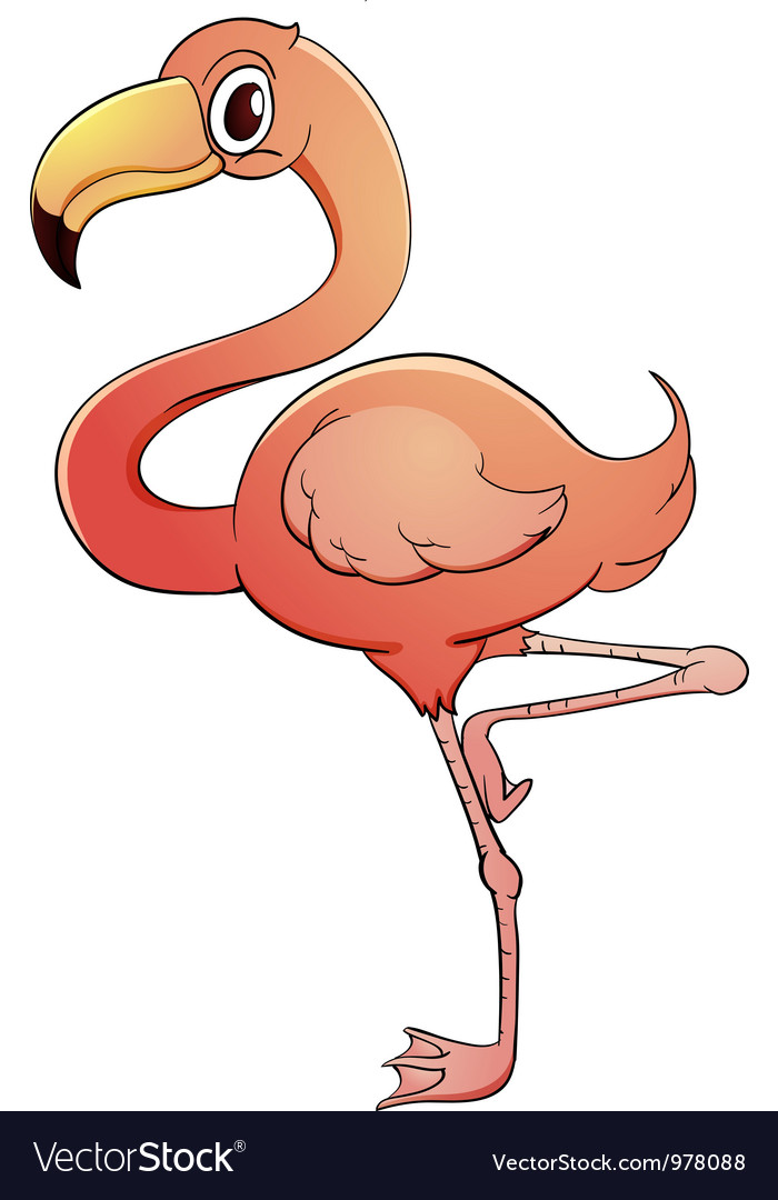 Flamingo Royalty Free Vector Image - VectorStock