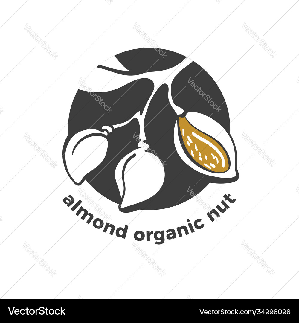 Almond symbol branch nut graphic Royalty Free Vector Image