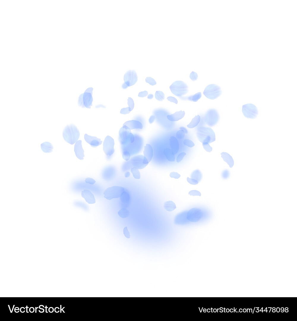 Dark blue flower petals falling down quaint roman Vector Image