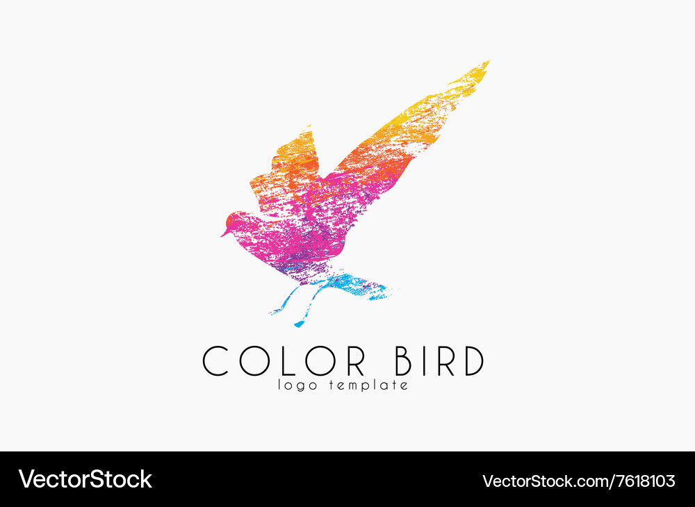Color bird rainbow logo colorful design Royalty Free Vector