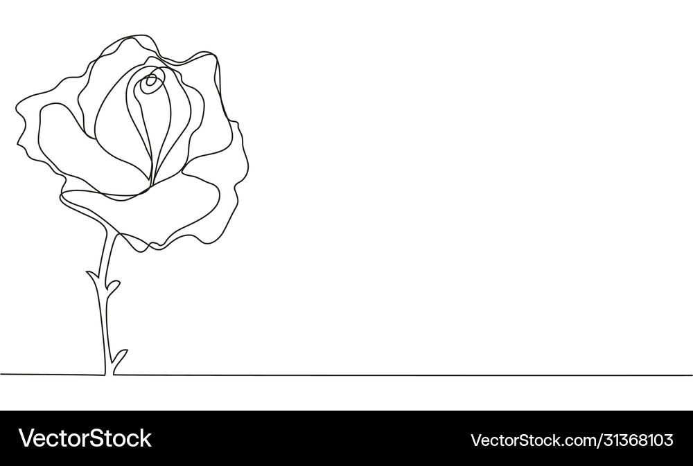 One line rose design - hand drawn minimalism style