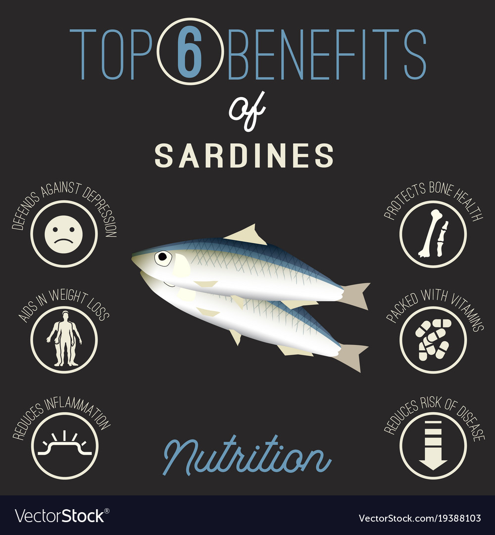 Sardines beans benefits Royalty Free Vector Image Sardines beans benefits Royalty Free Vector Image