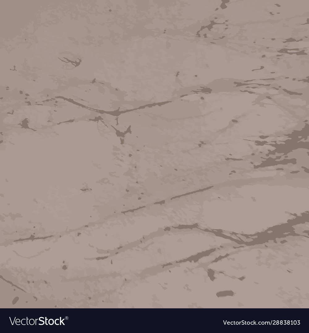 Texture background template for decoration Vector Image