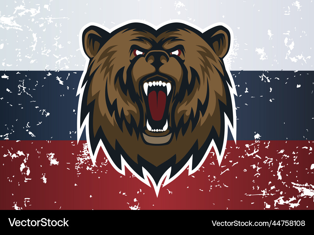 Angry muzzle of a bear Royalty Free Vector Image