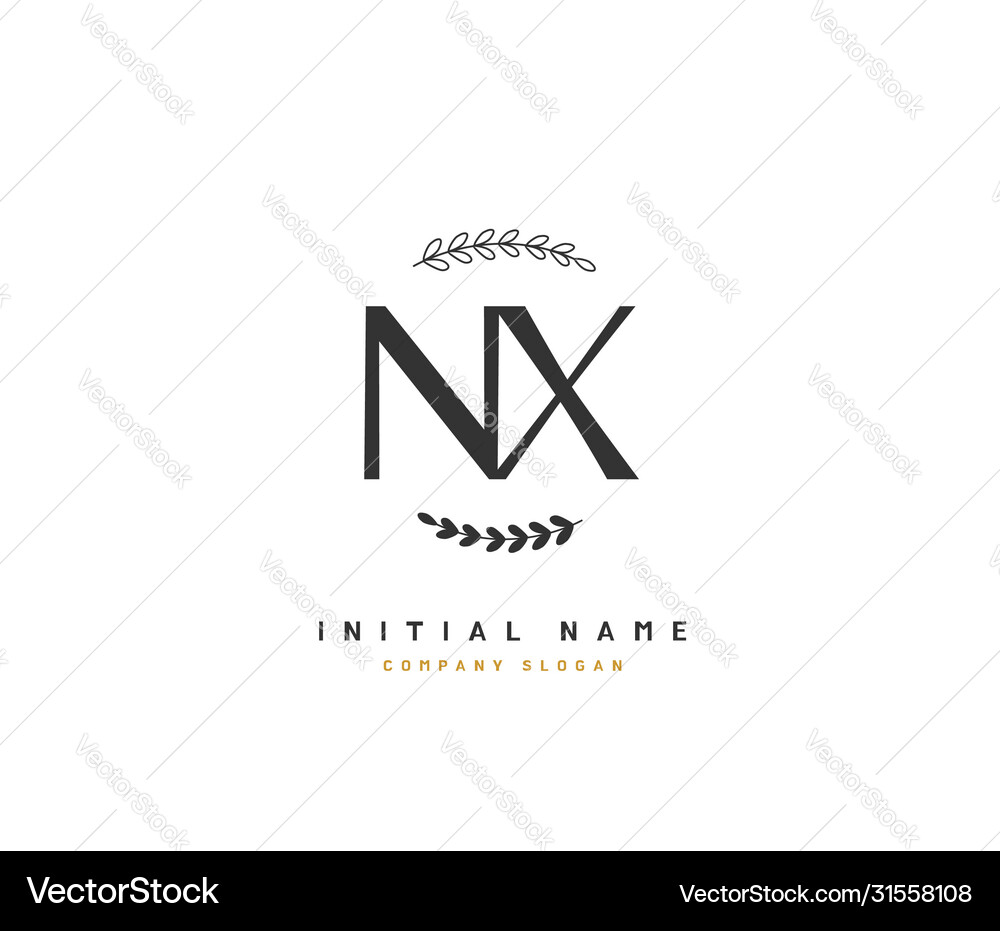 N x nx beauty initial logo handwriting logo Vector Image