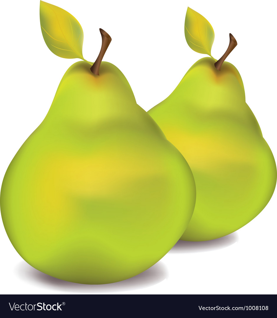 Pears Royalty Free Vector Image - VectorStock
