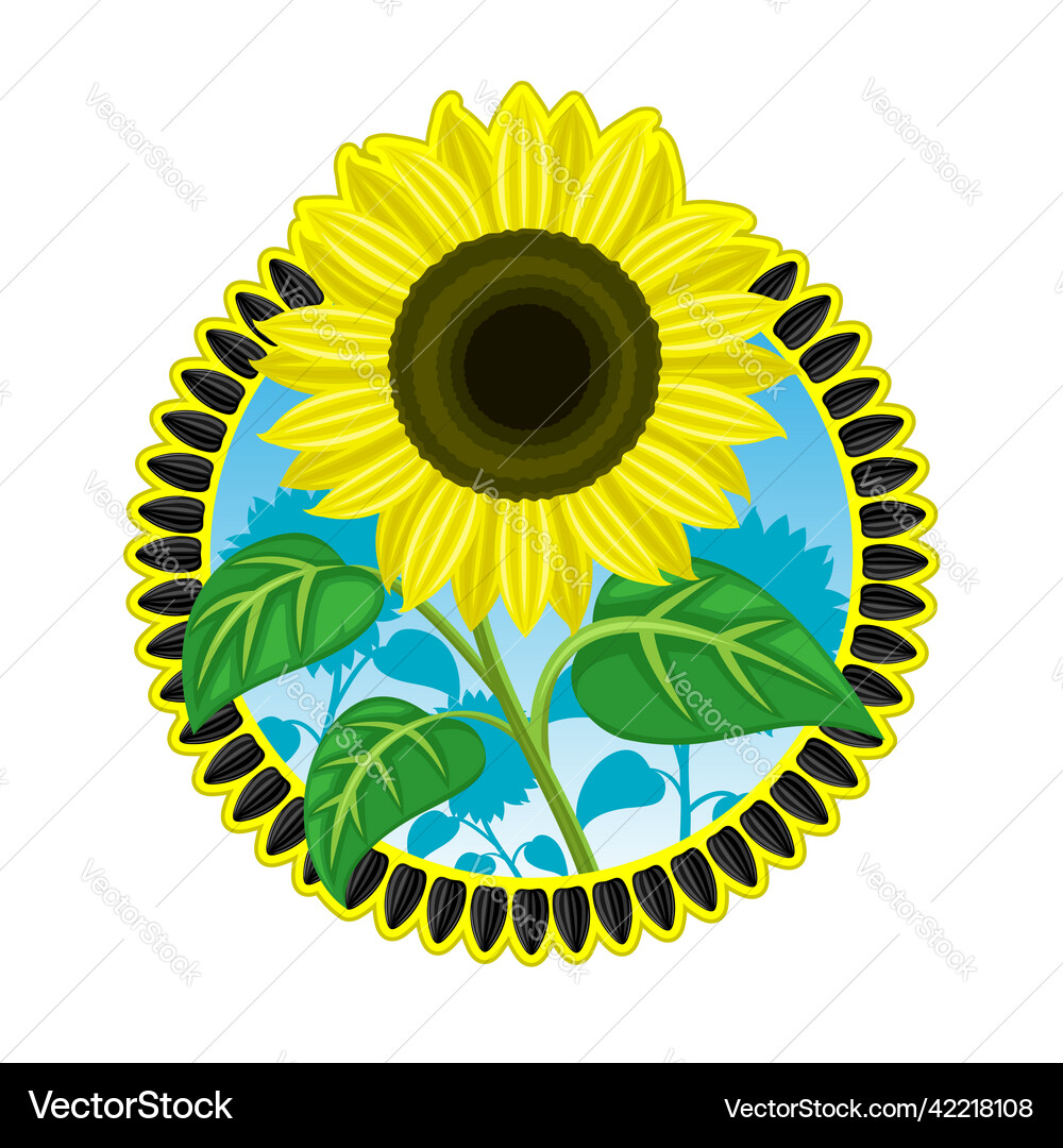 Round icon with sunflower flower Royalty Free Vector Image