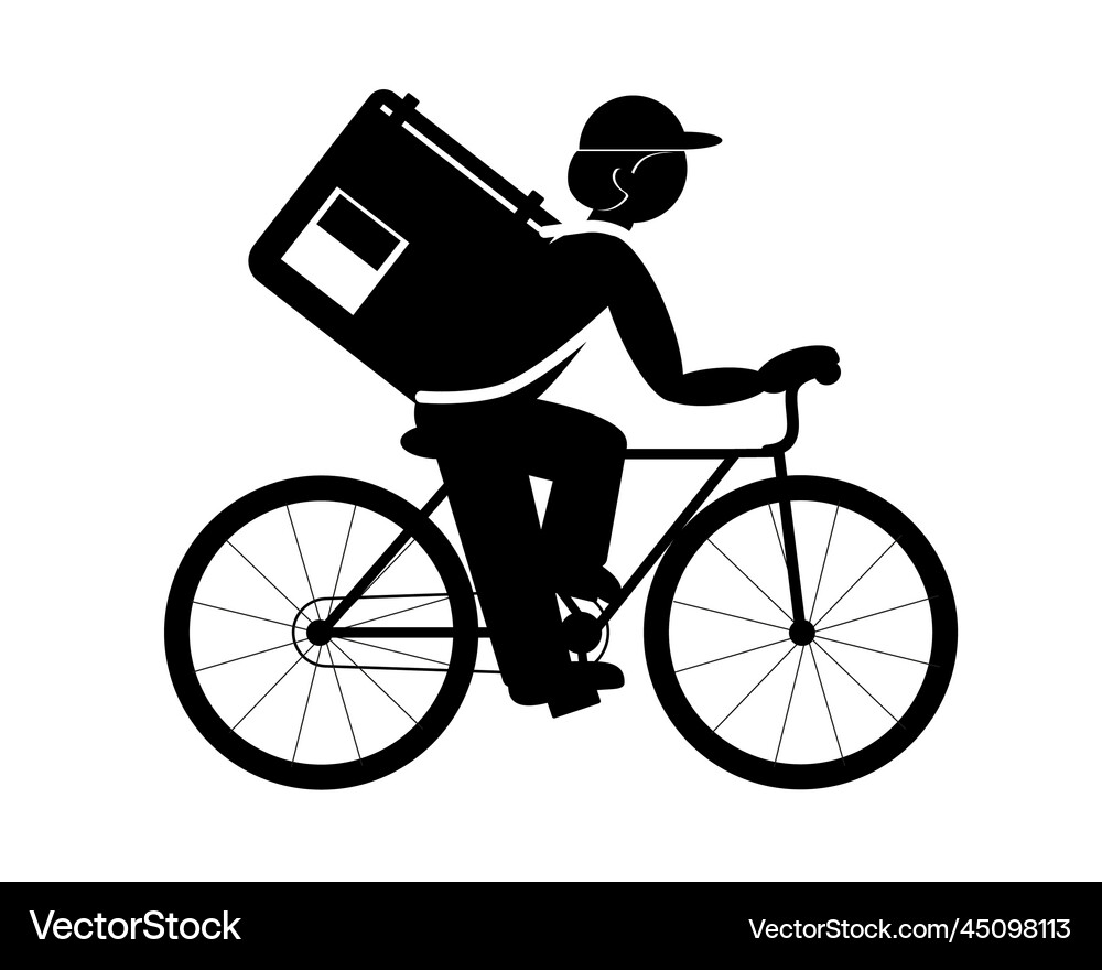 Express delivery on the bike Royalty Free Vector Image