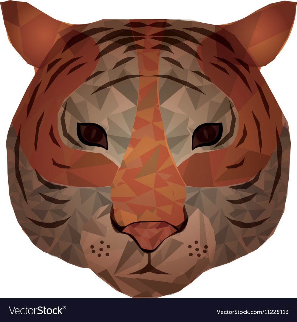 Tiger abstract design Royalty Free Vector Image