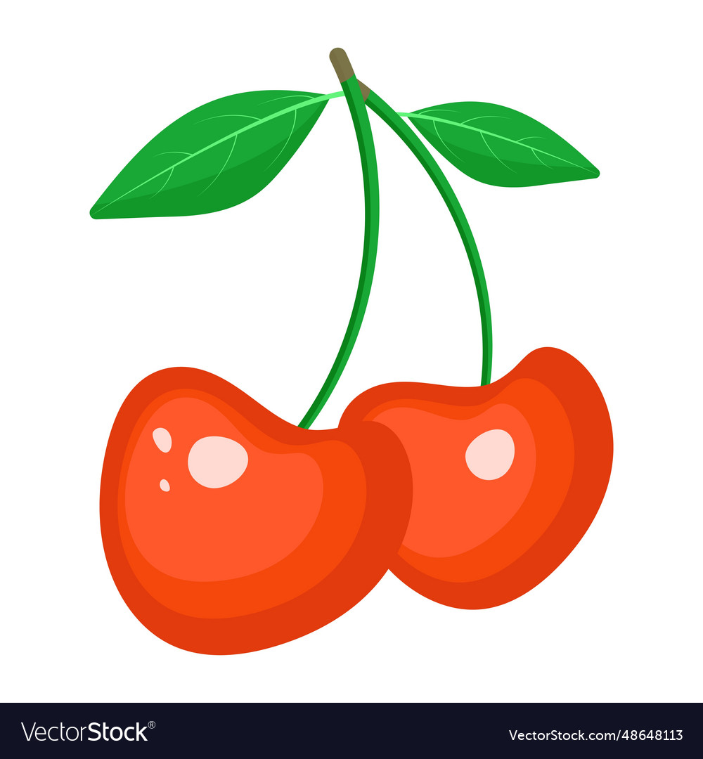 Two Isolated Red Cherry Royalty Free Vector Image