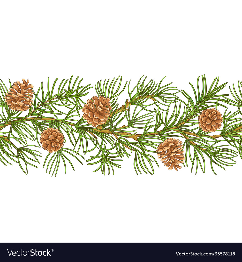 Pine pattern Royalty Free Vector Image - VectorStock