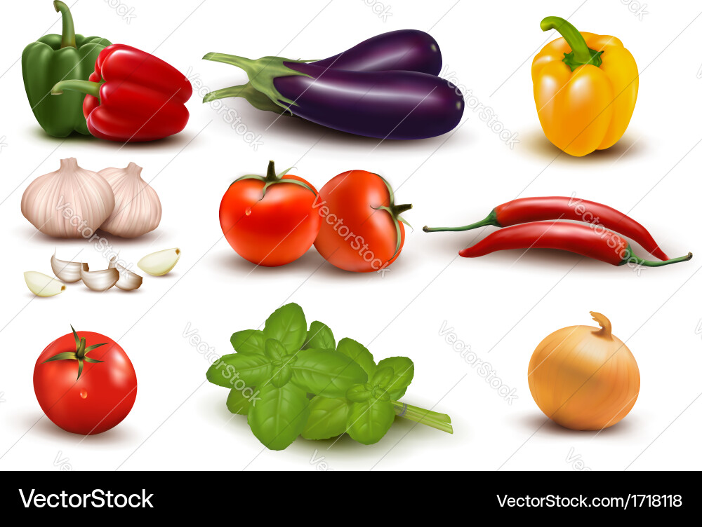 The big colorful group vegetables Royalty Free Vector Image