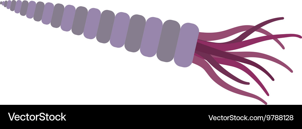 Cartoon clams Royalty Free Vector Image - VectorStock