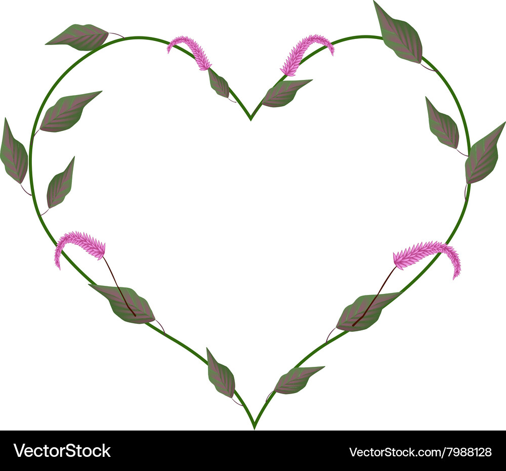 Red amaranth leaves in a heart shape Royalty Free Vector