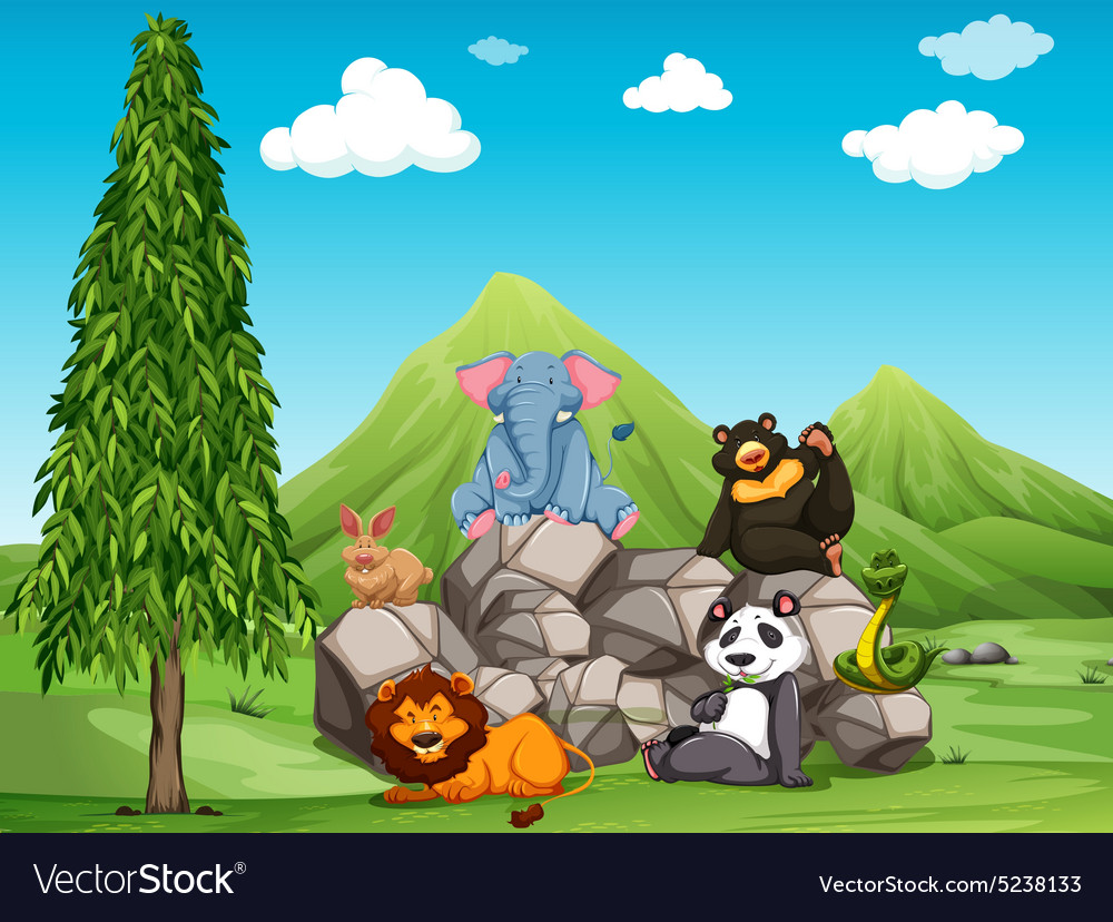 Animals Royalty Free Vector Image - VectorStock
