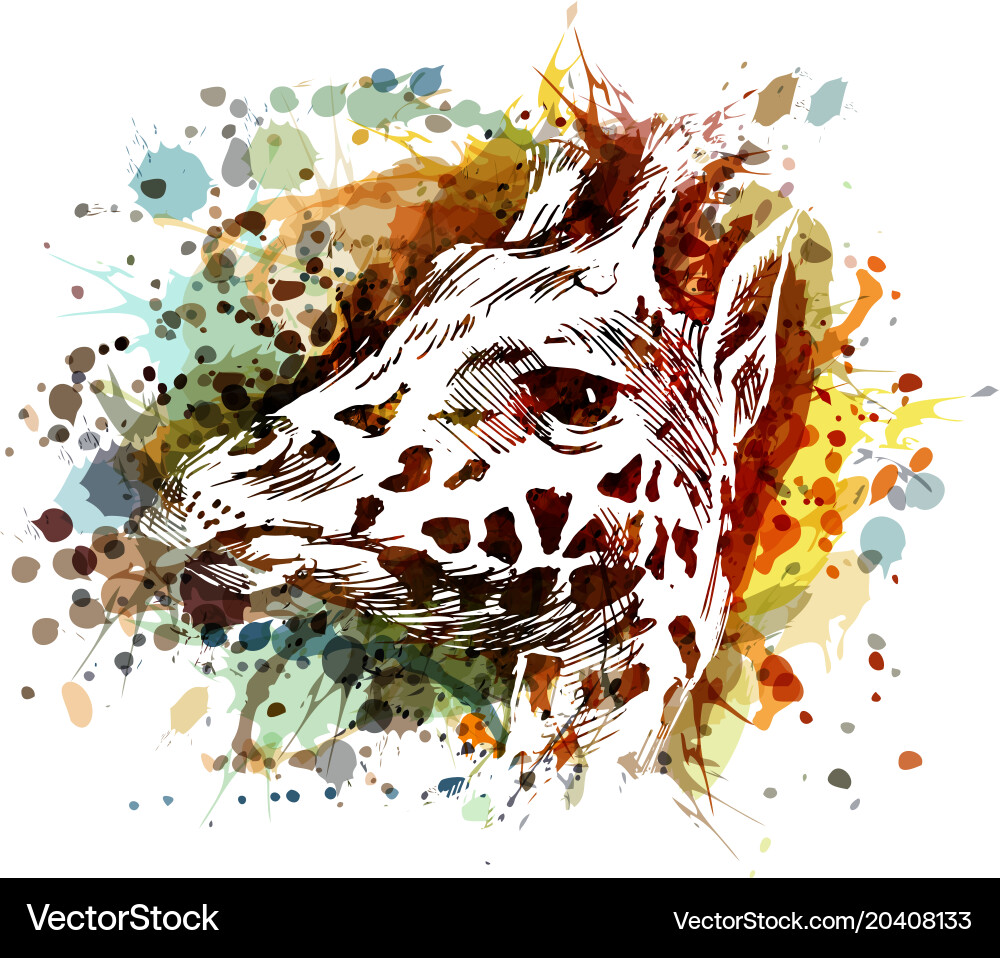 Color of a giraffe head Royalty Free Vector Image