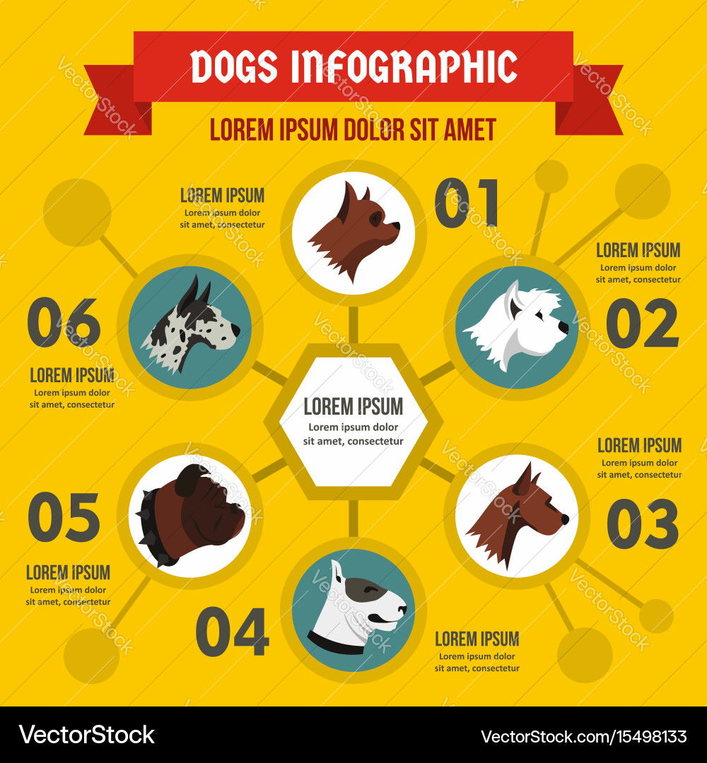 Dog breeds infographic concept flat style Vector Image
