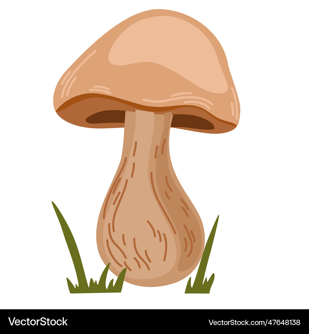 0599 mushroom Royalty Free Vector Image - VectorStock