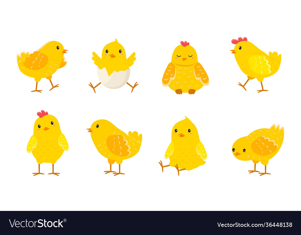 Cartoon easter chicks baby farm birds Royalty Free Vector