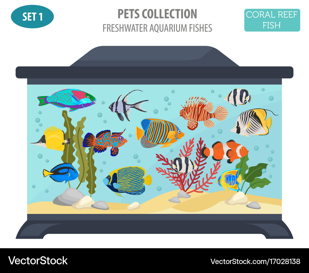 Freshwater aquarium fish breeds icon set flat Vector Image