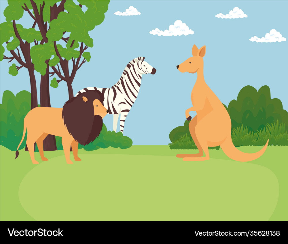 Zebra with lion and kangaroo animals wild Vector Image