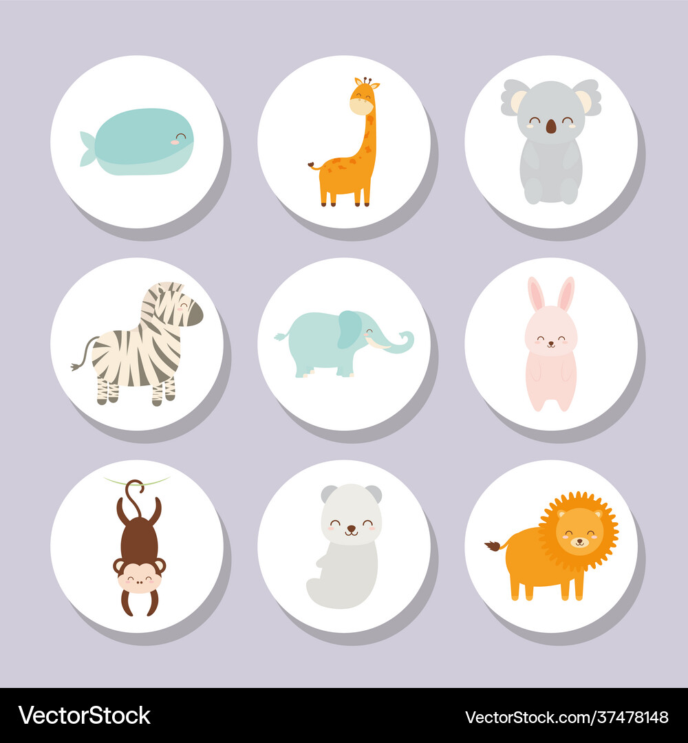 Baby animals icons Royalty Free Vector Image - VectorStock