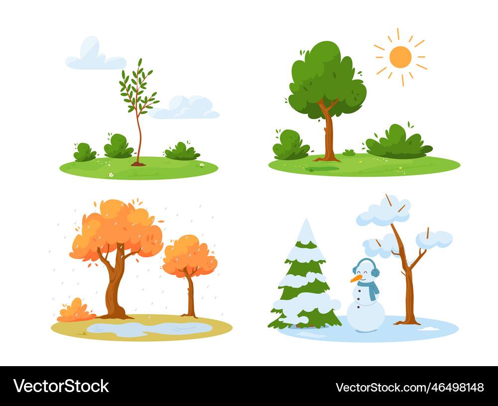 Landscape scenery with trees in four seasons Vector Image