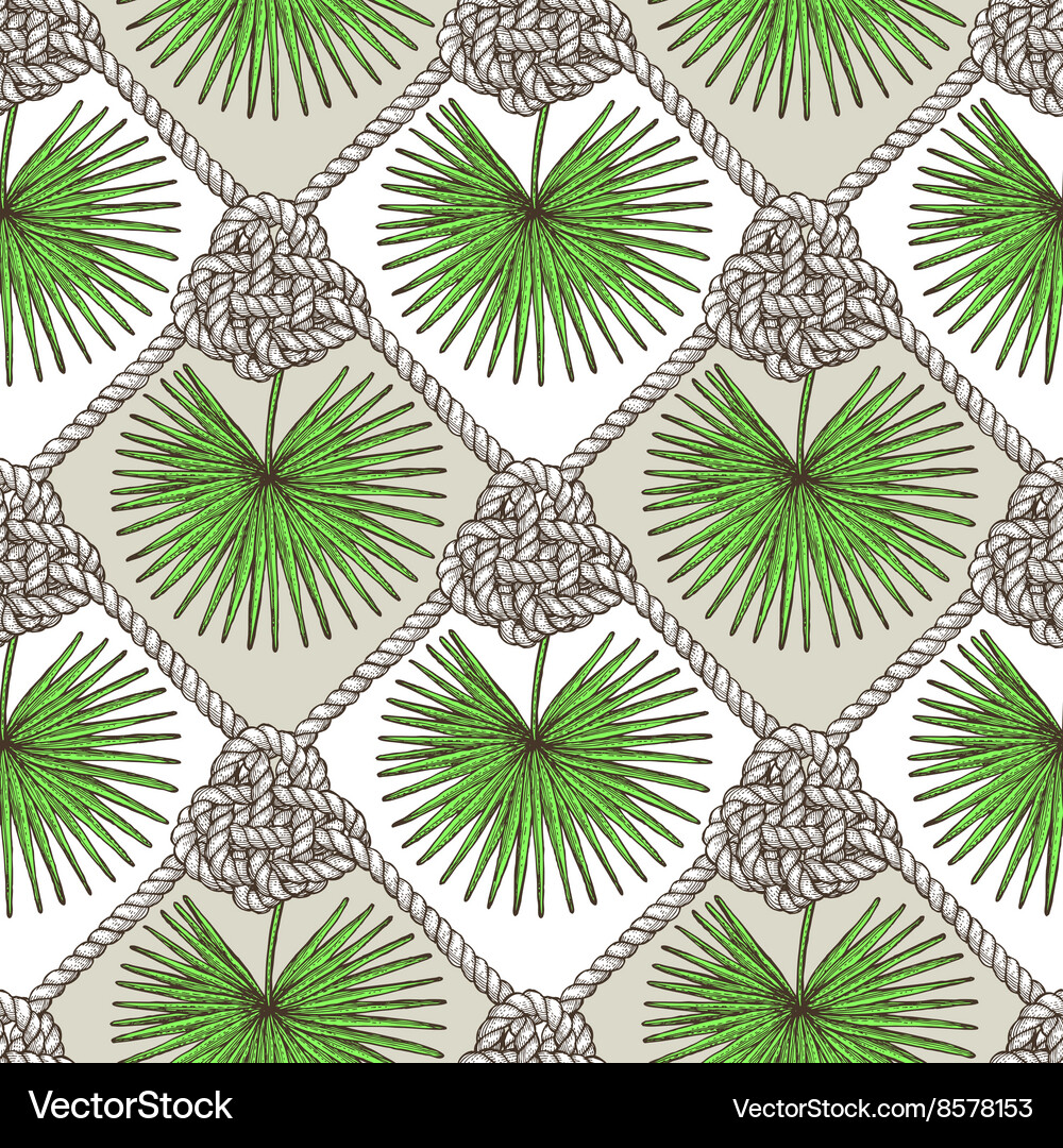 Engraved palm leaves and rope Royalty Free Vector Image