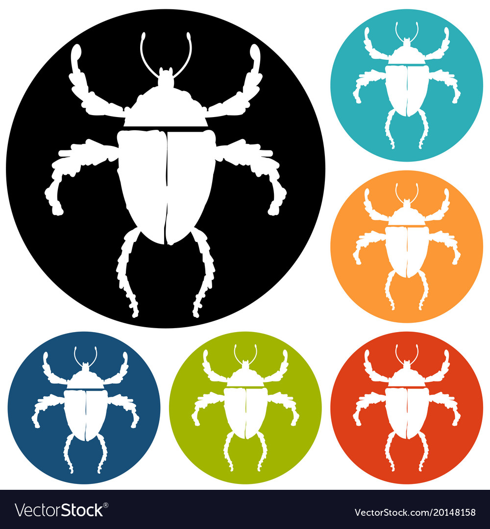 Spider icon Royalty Free Vector Image - VectorStock