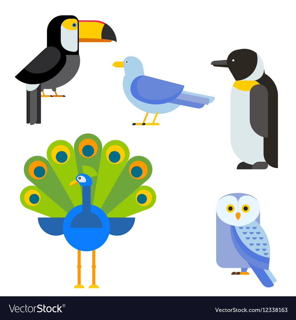 Birds set isolated Royalty Free Vector Image - VectorStock