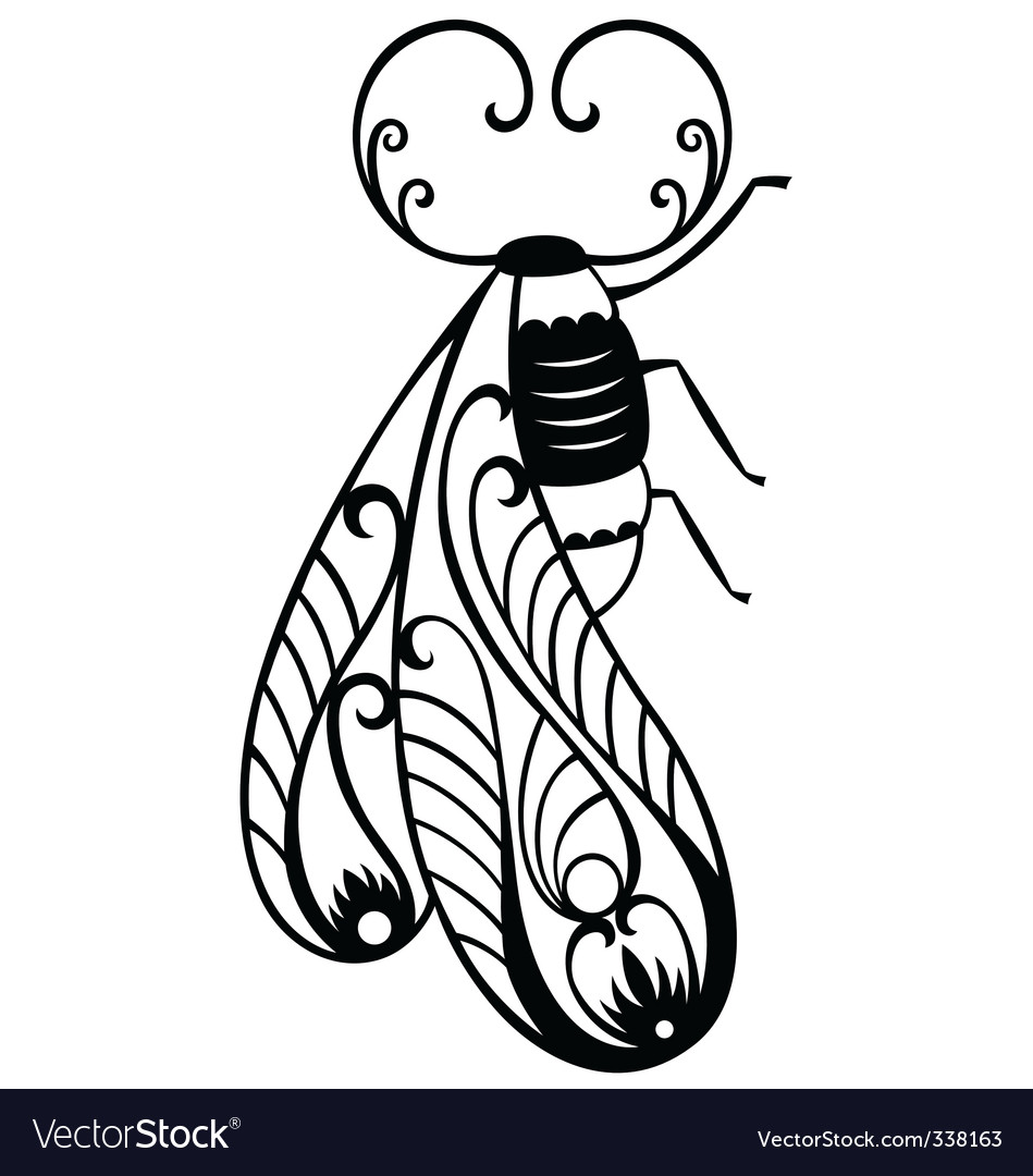 Decorative bug Royalty Free Vector Image - VectorStock
