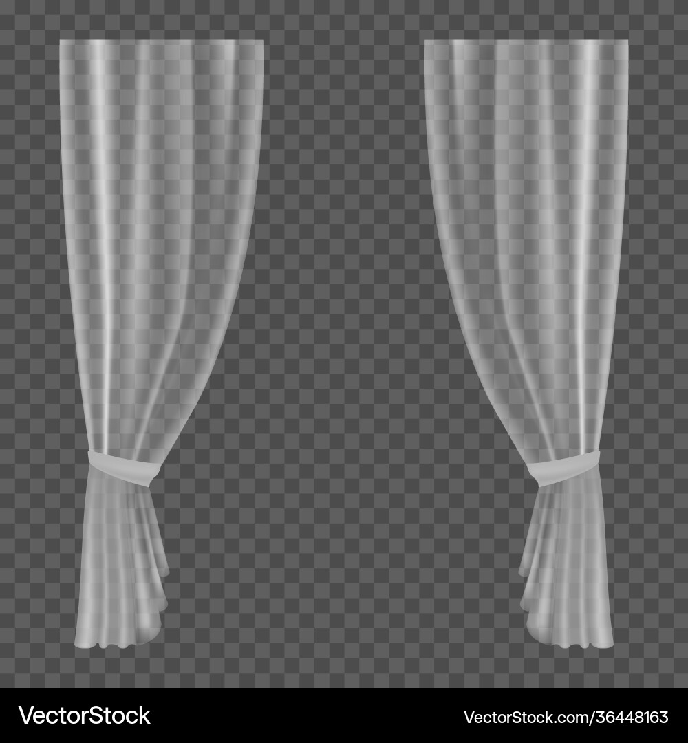 Transparent curtains lightweight clear drapery Vector Image