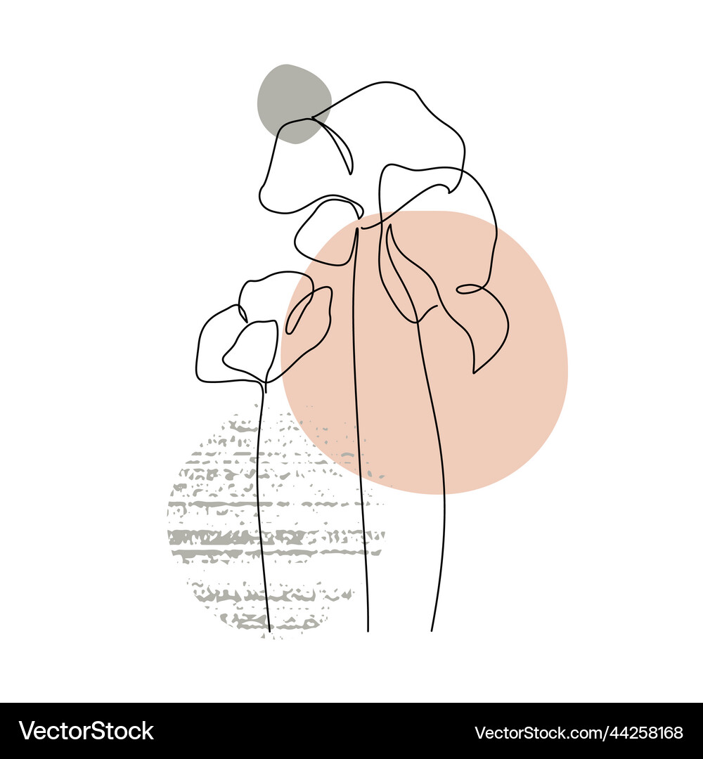 Abstract one line continuous poppy flower drawing Vector Image