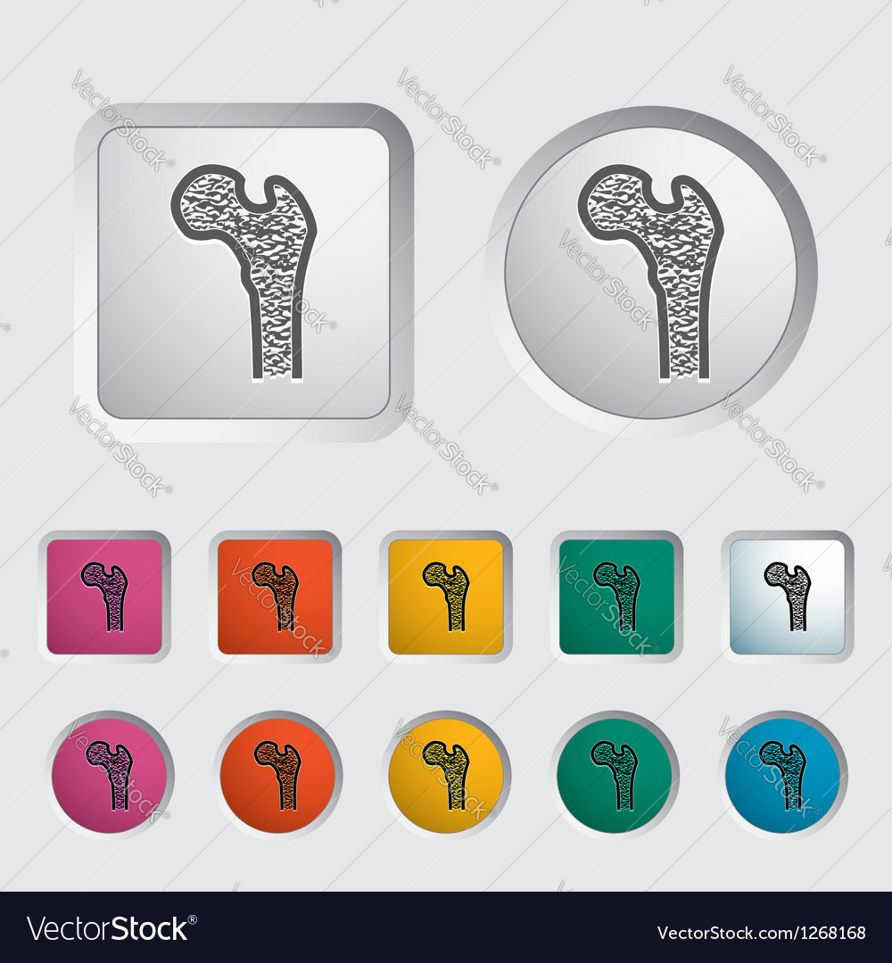 Bone Royalty Free Vector Image - VectorStock