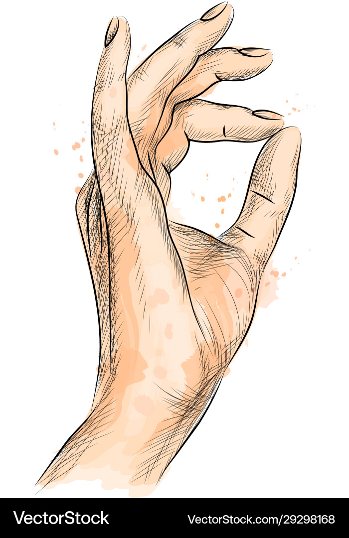 Hand gesture ok from a splash watercolor Vector Image