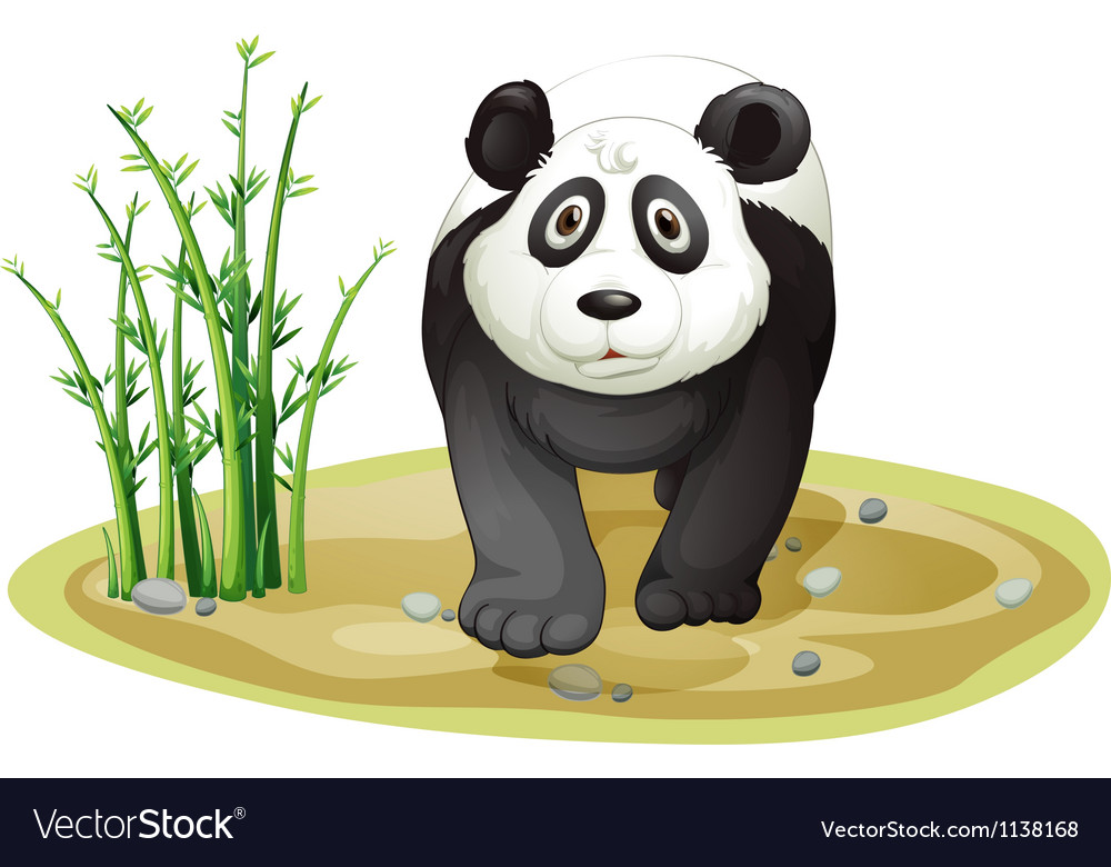 Panda Royalty Free Vector Image - VectorStock
