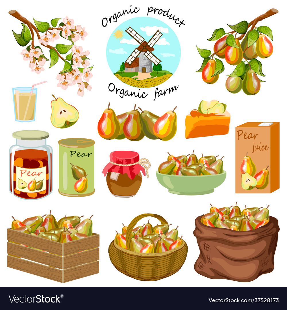 Set elements with pears Royalty Free Vector Image