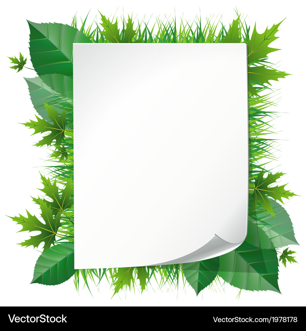 Paper on grass Royalty Free Vector Image - VectorStock