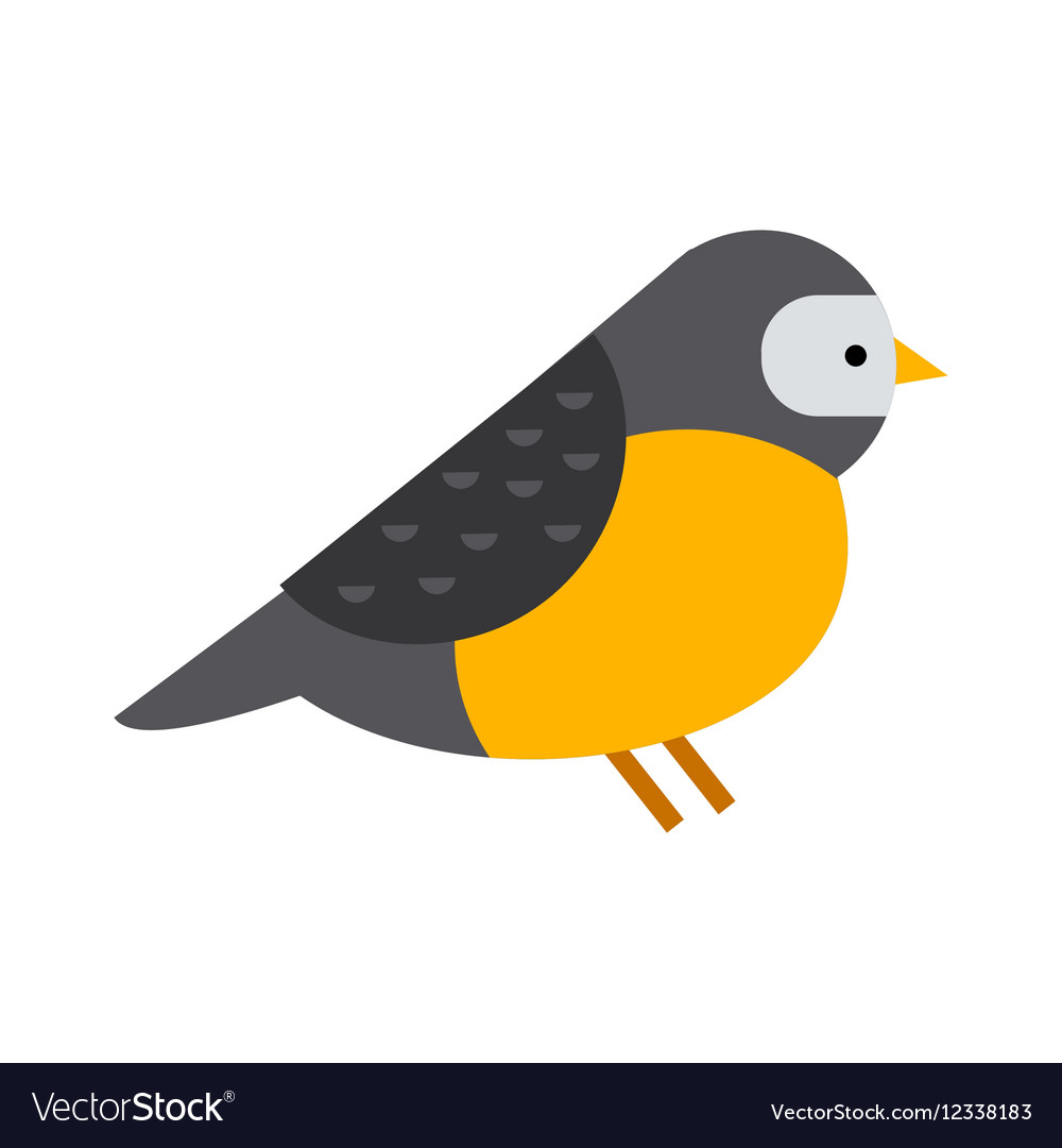 Bullfinch colorful nature winter bird Royalty Free Vector