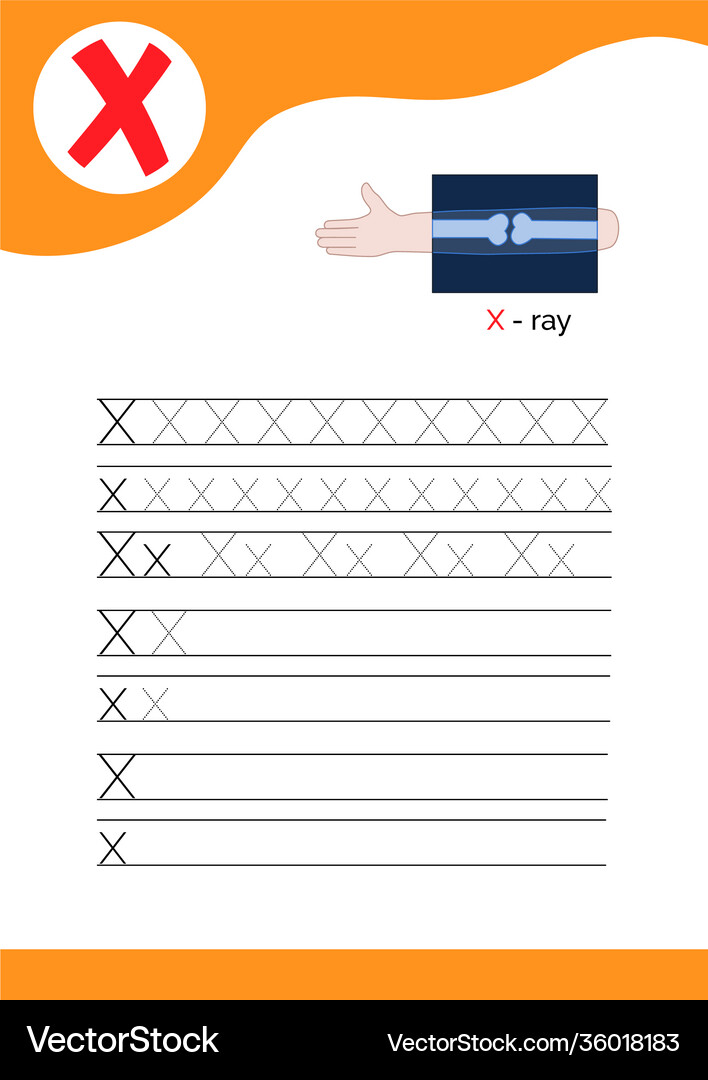 Letter X Handwriting Practice Royalty Free Vector Image