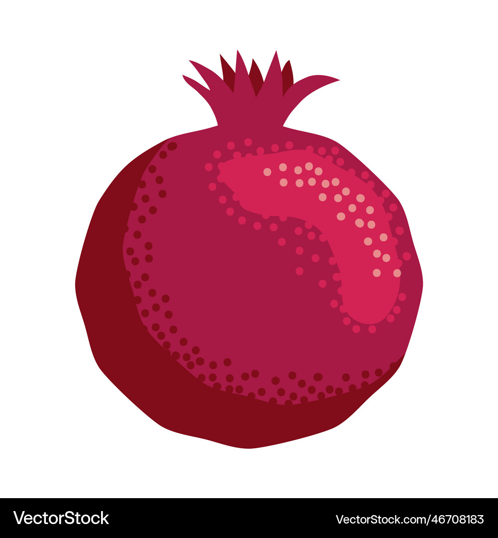 Pomegranate whole and pieces cut with seeds Vector Image